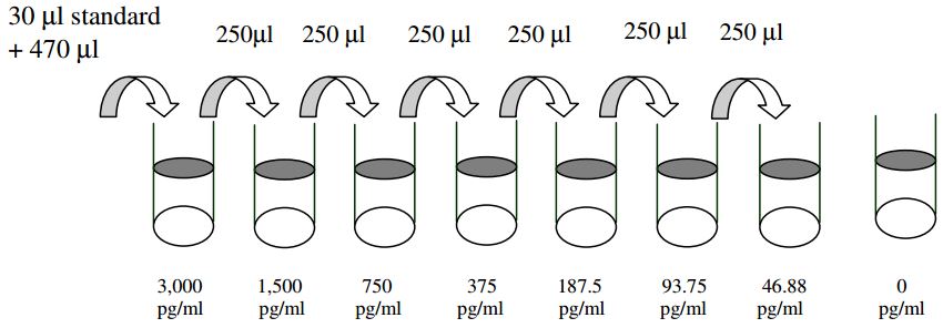 Human BMP-2 ELISA(ELH-BMP2)_RayBiotech