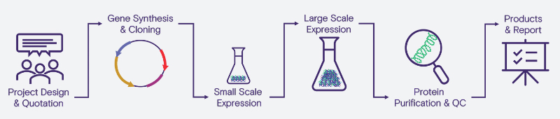 重组蛋白服务_RayBiotech