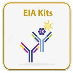 ac4C (N4-acetylcytidine) Competitive ELISA kit_RayBiotech