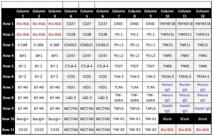Human Immune Checkpoint Receptor Protein Array_RayBiotech